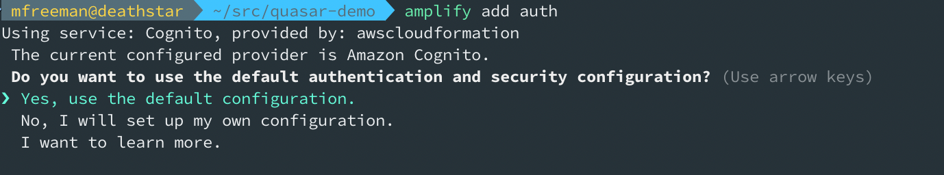 Creating a Quasar Framework application with AWS Amplify services (Part 1/4) | by Michael ...