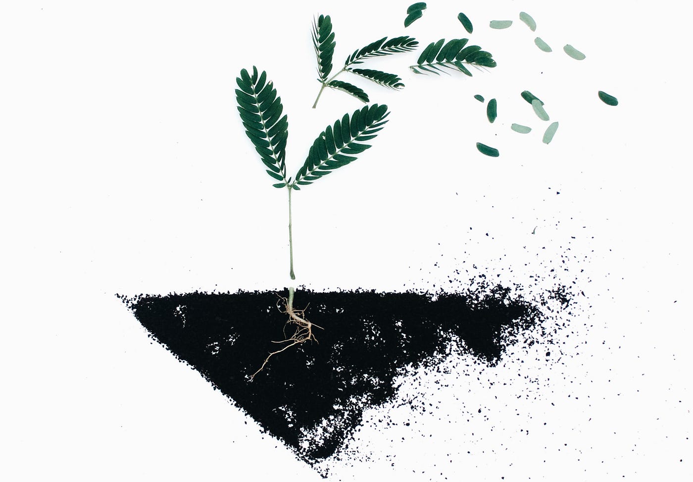 11 Vue.js Lifecycle Hooks. Let’s understand how and when to use… | by ...