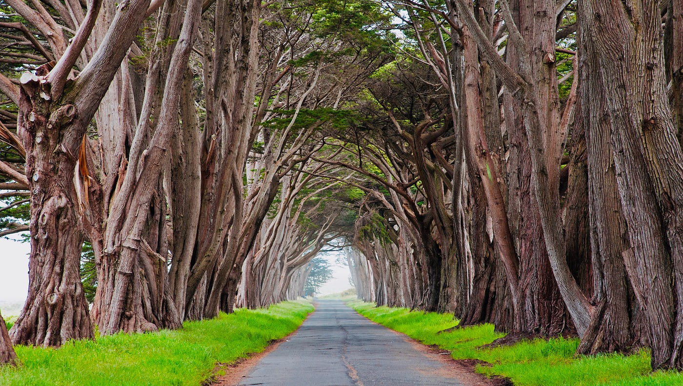 Annotating Log Data for Machine Learning | by Julia Li | VMware Data & ML Blog | Medium