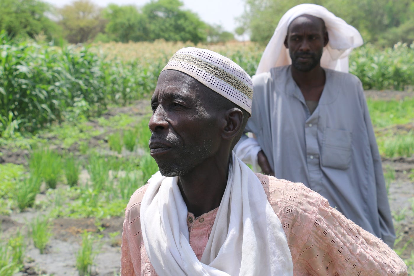 Postcards from Lake Chad. The large freshwater Lake Chad basin is… | by ...