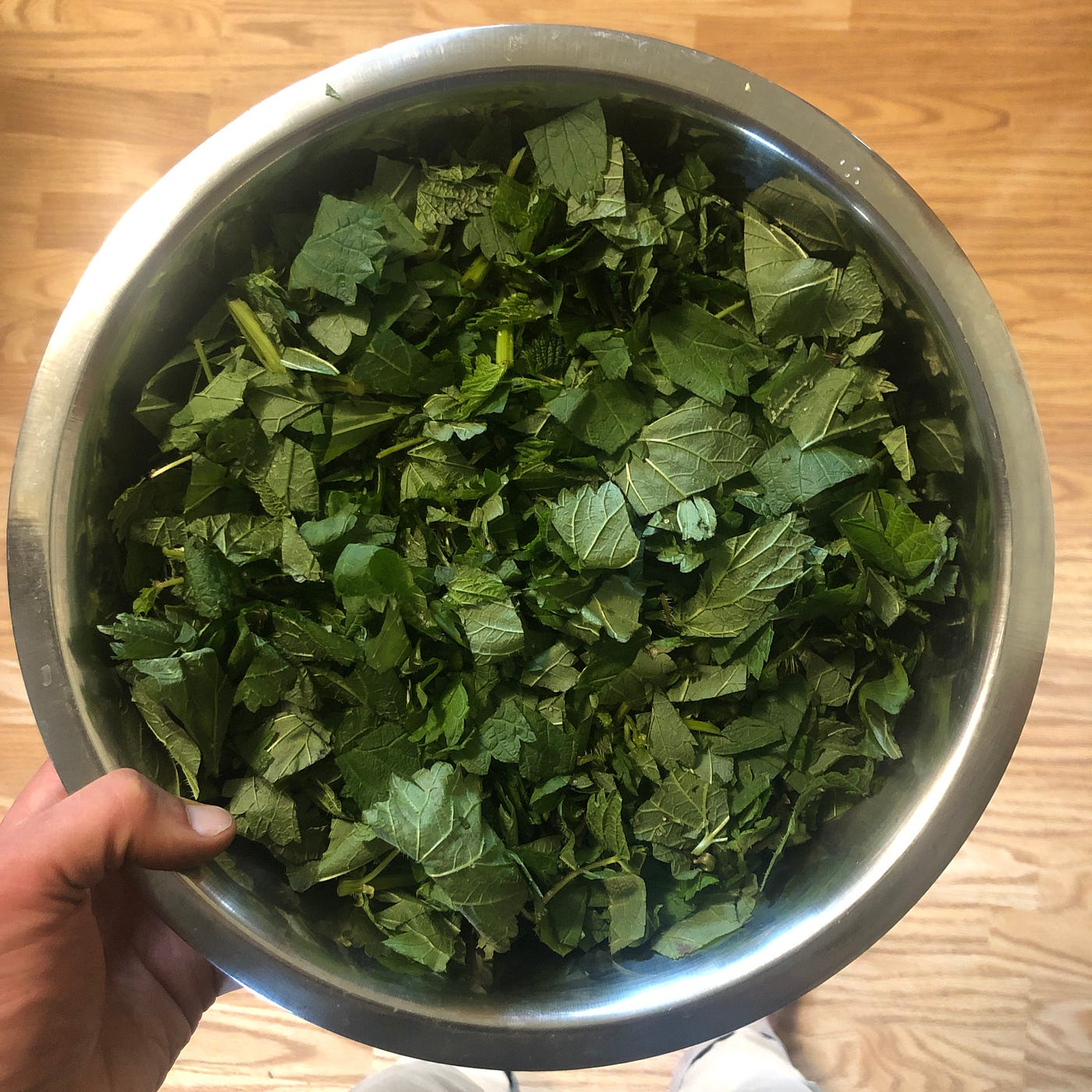 Wisdom of Nettles. I have a vivid memory of walking along… | by Mericos ...