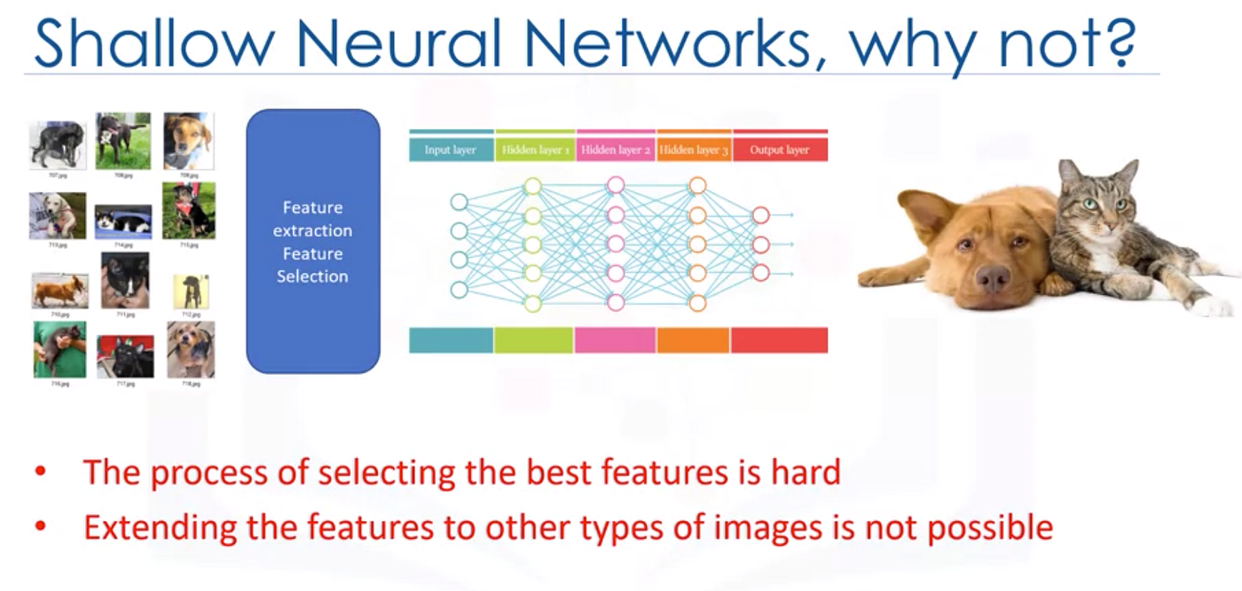 Convolutional Neural Networks (CNNs) for Classification | by Mehmet ...