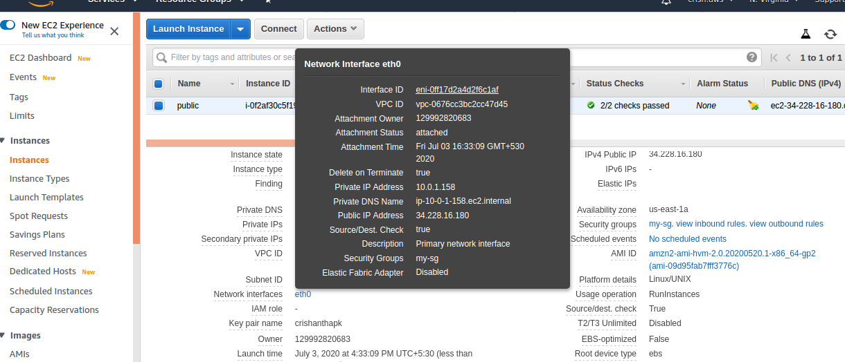 Handling Elastic Network Interface(s) (ENIs) in AWS | by Crishantha ...