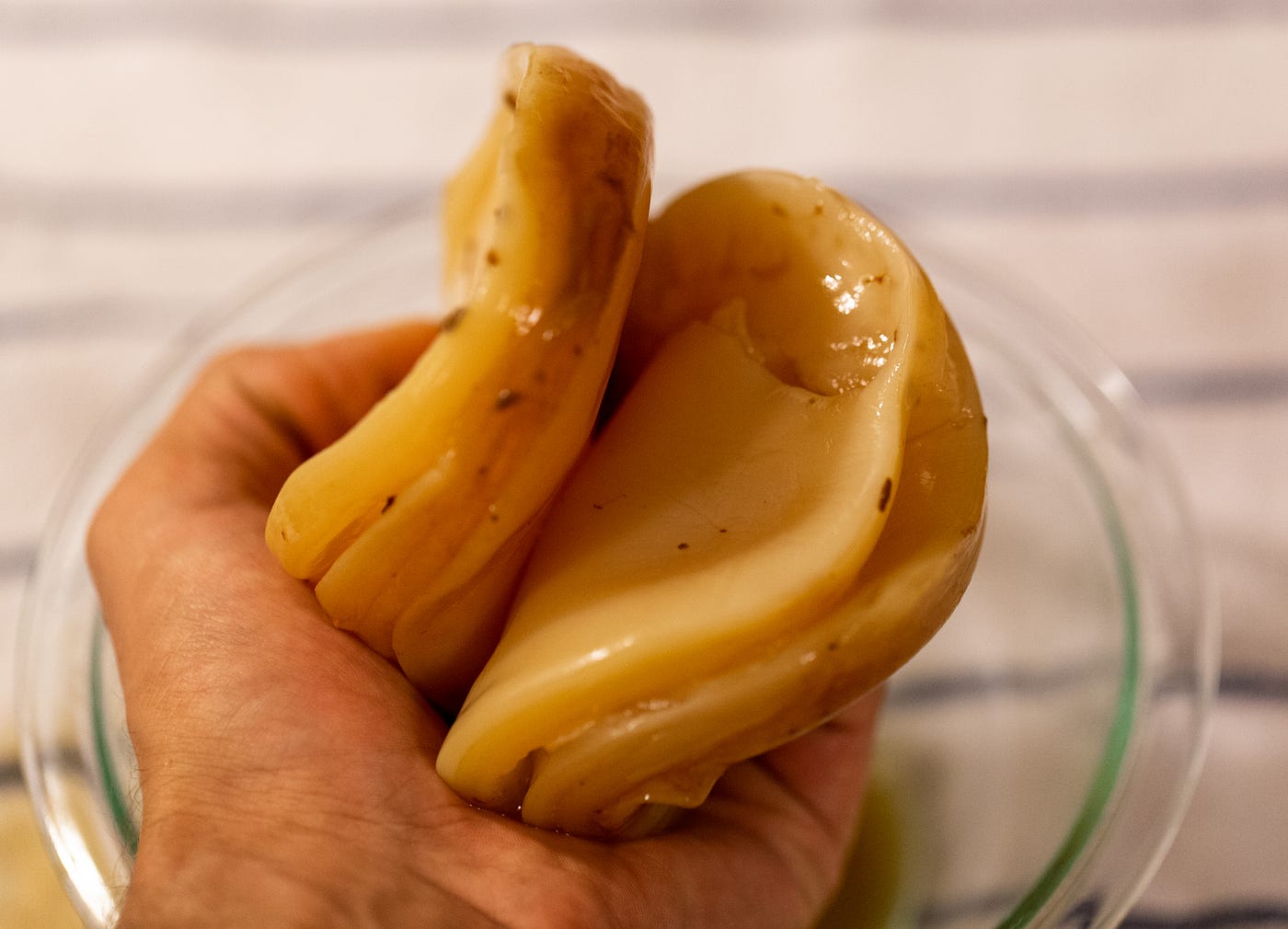 How to Make More Kombucha Than You’ll Know What to Do With | by Jackson ...