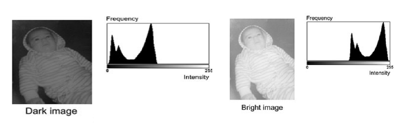 The Basics of Image Processing. Empower your deep learning models by ...