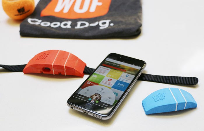 Bringing the “Connected Canine” revolution to life through a smart dog ...
