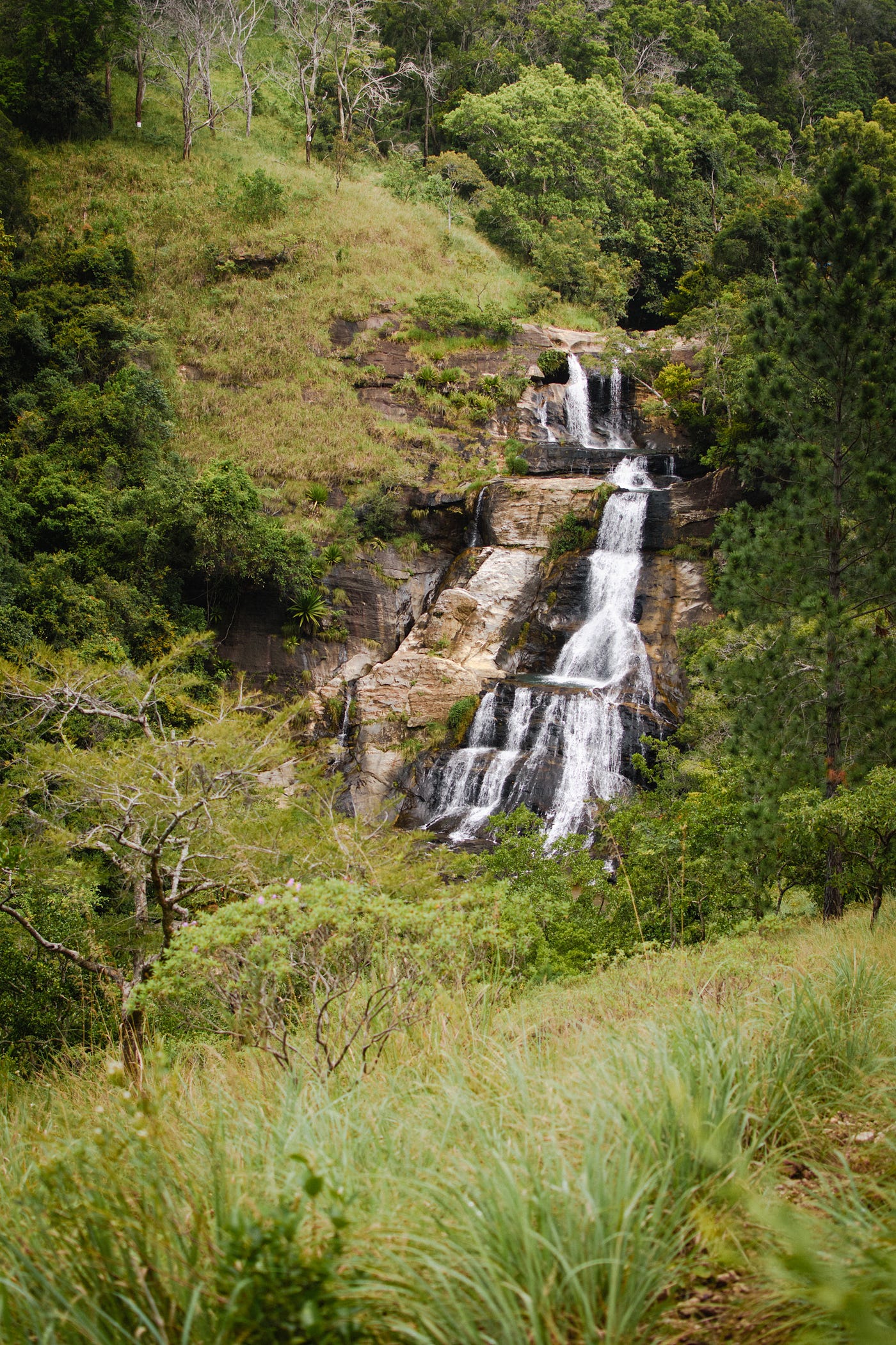 Treks to see Bamabarakanda, Diyaluma, Pahanthudawa waterfalls | By ...