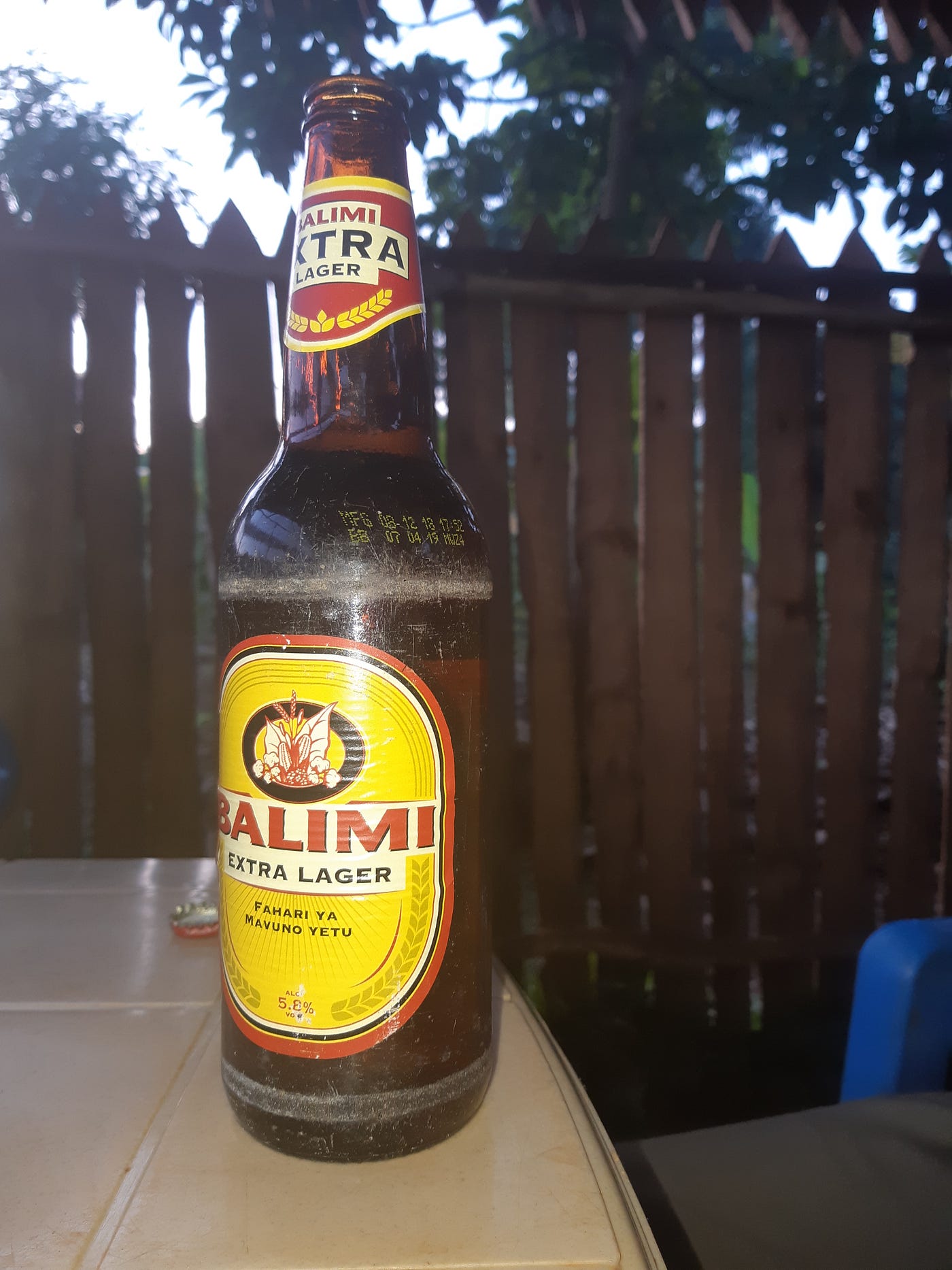 The Beauty Behind Bukoba. Shame on me! | by Kelvin Mutagwaba | Medium