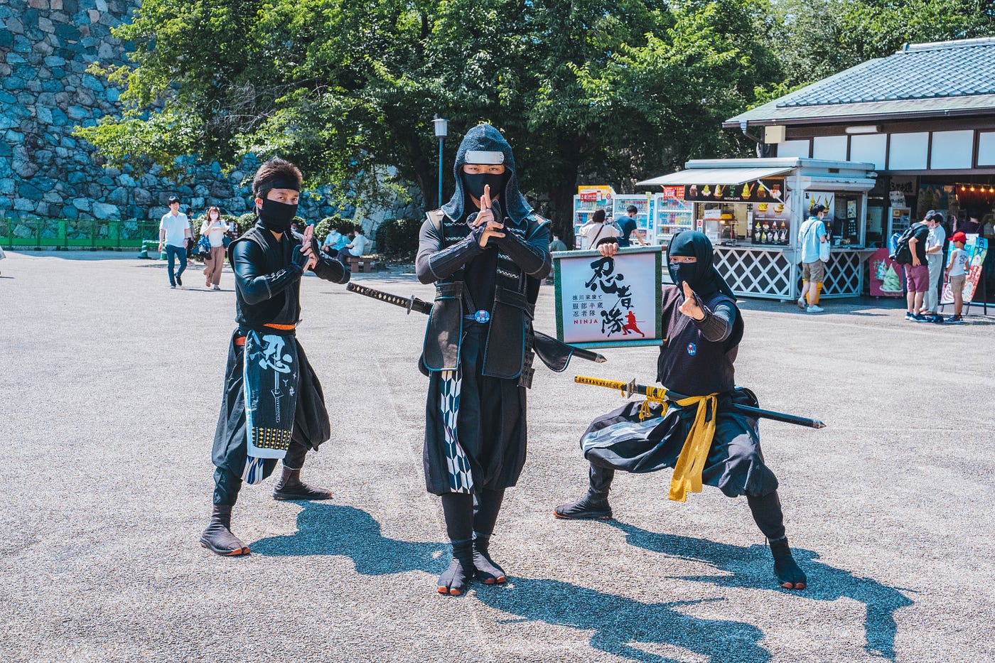 “3 Ninjas” Was The First Movie That I Watched In Movie Theaters | by ...