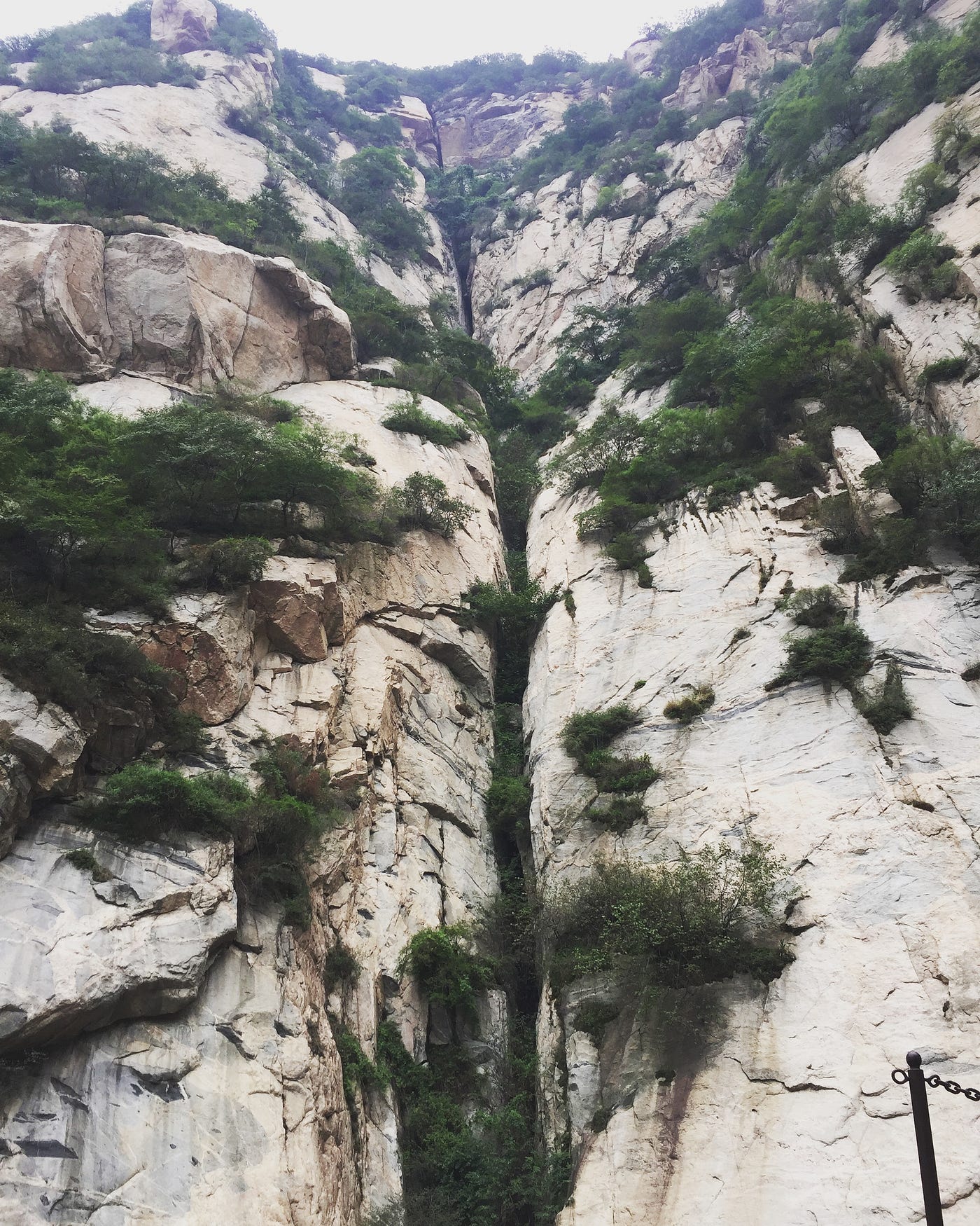 Why I left WeChat and QQ. As we all know ,WeChat and QQ is the… | by Marc StevenCoder | Medium