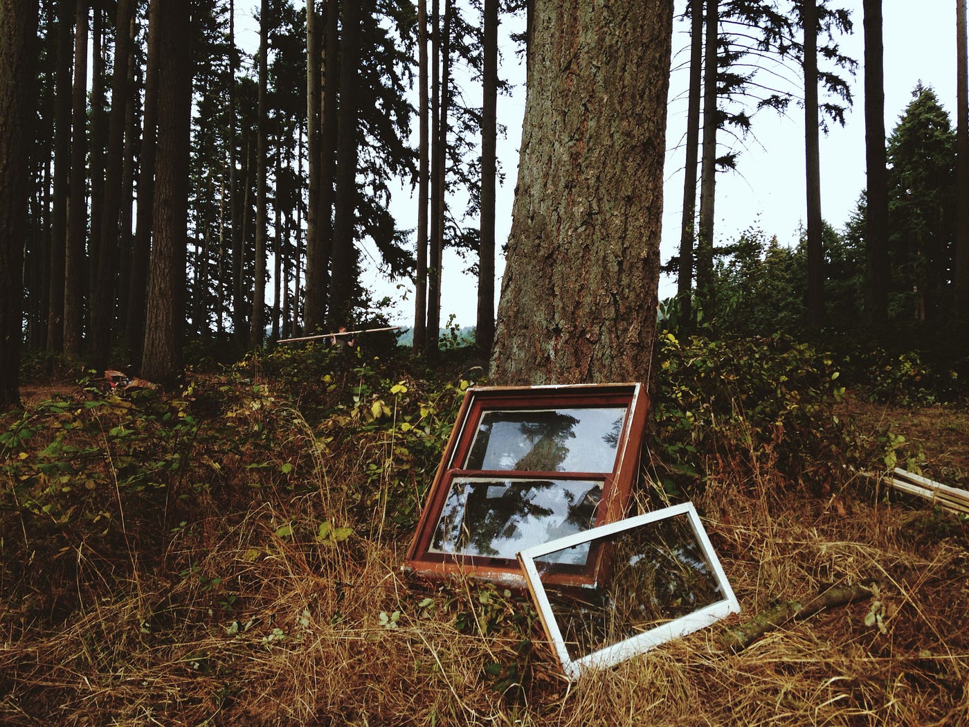 Six-Day Cabin: What we learned in the woods | by Aaron Flack | Medium