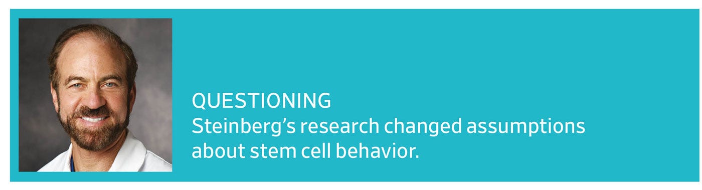 Finding the Cures Within Us. Stem cell research holds the promise of ...