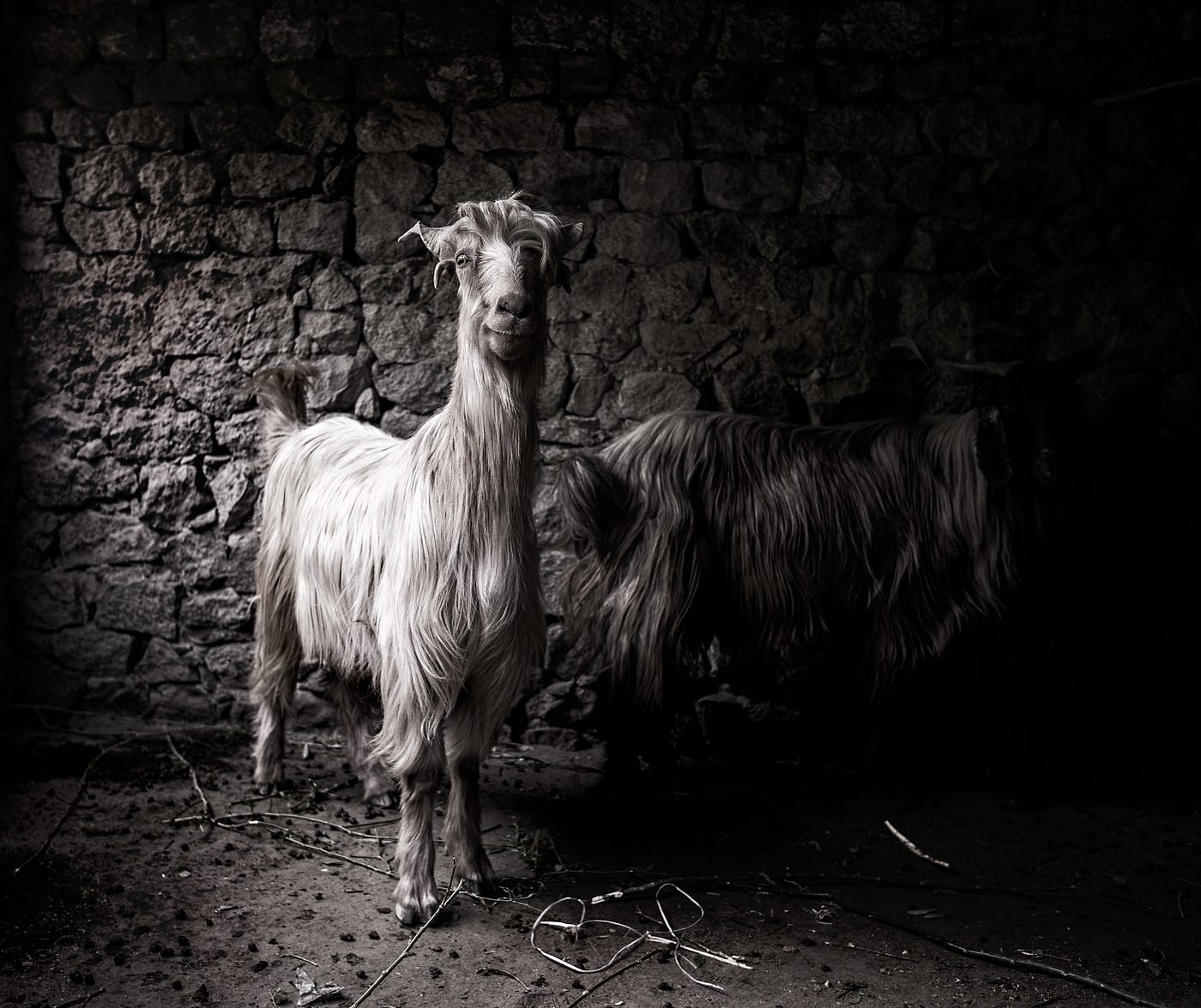 Aryans | Jammu and Kashmir. Jammu and Kashmir | The Conflict zone | by ...
