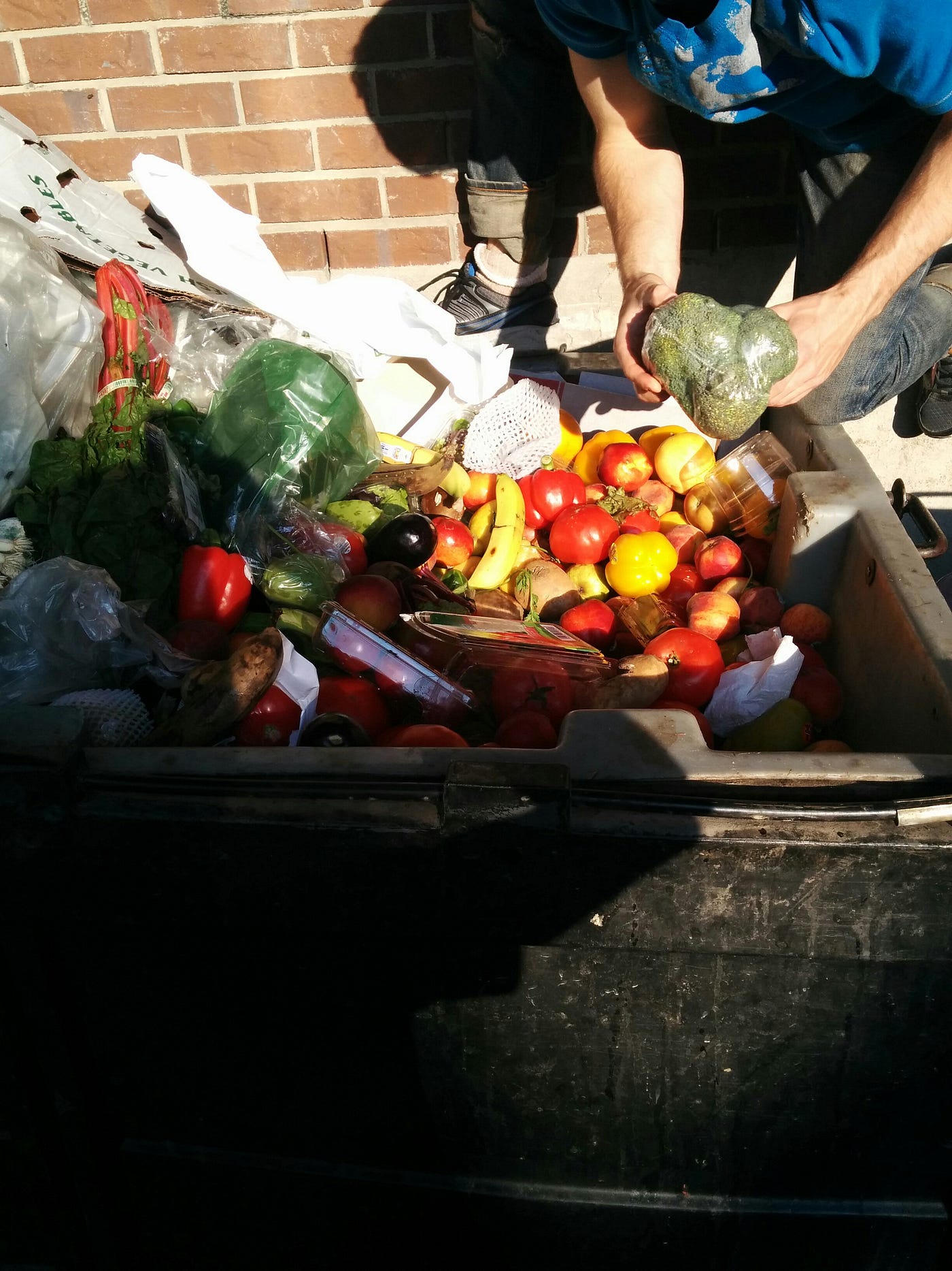 The Definitive Guide to Dumpster Diving | by Jamie Klinger | Medium