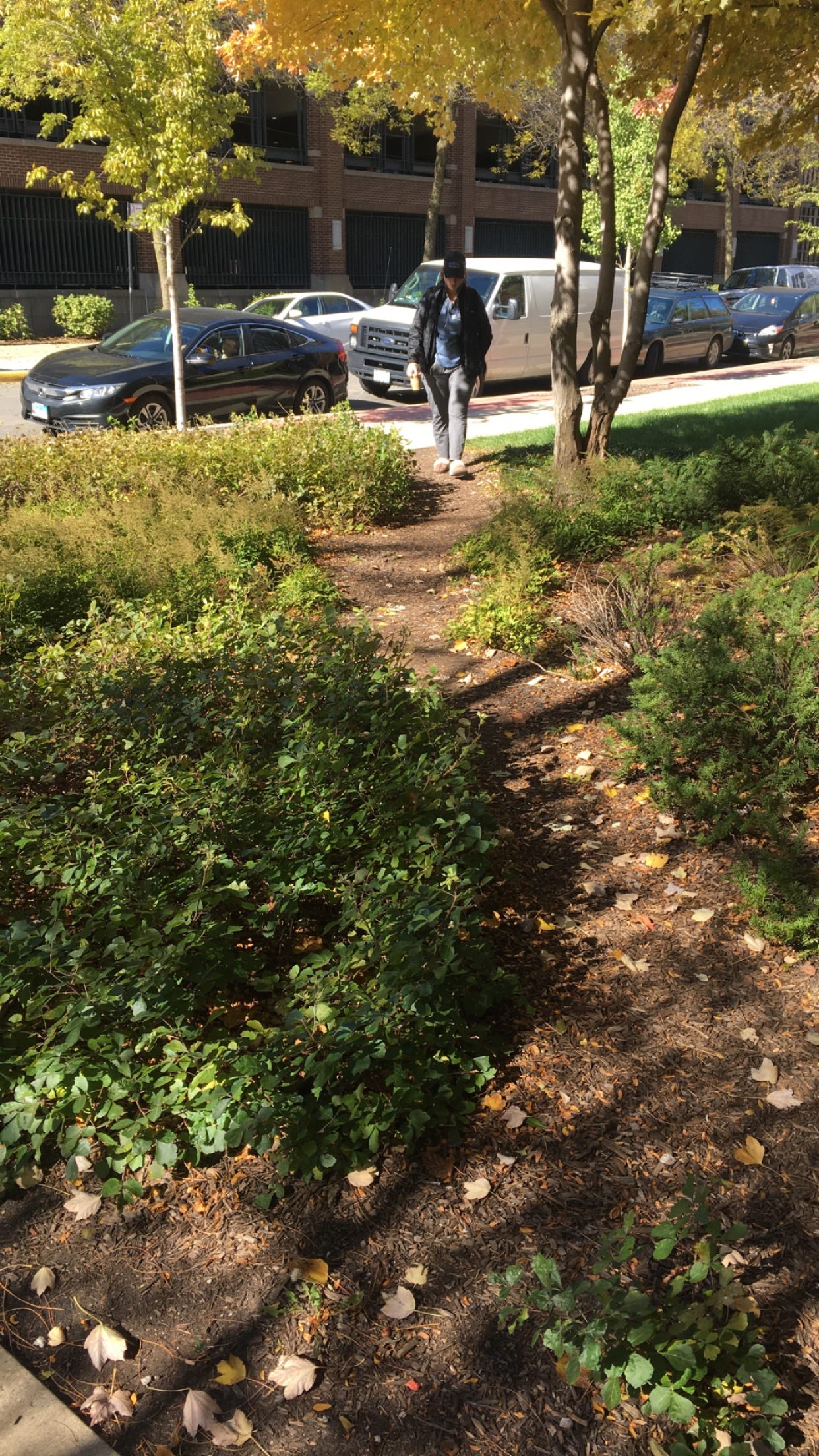 Walking markers - walking chicago: a windy city atlas - Medium