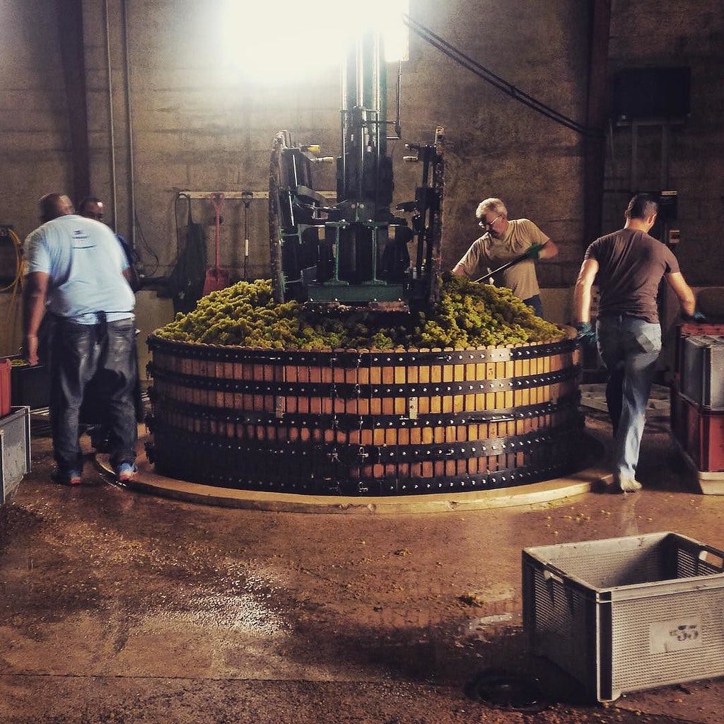 Wine History: The Story of Champagne | by Alice Shawbrook | Vinia ...
