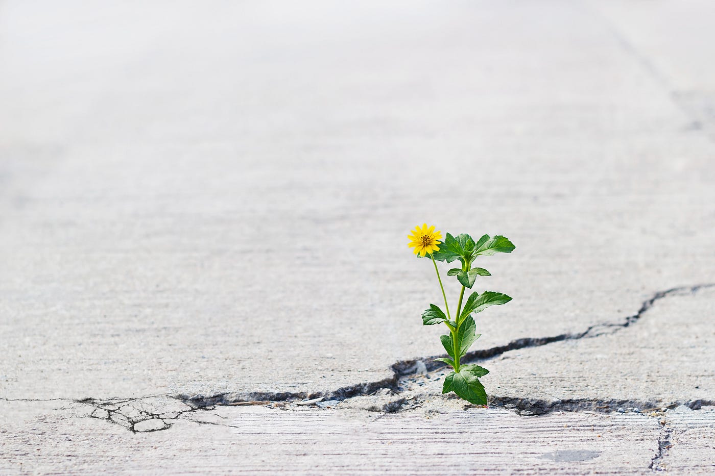 The Necessity of Failure. Why failing is an essential part of… | by ...