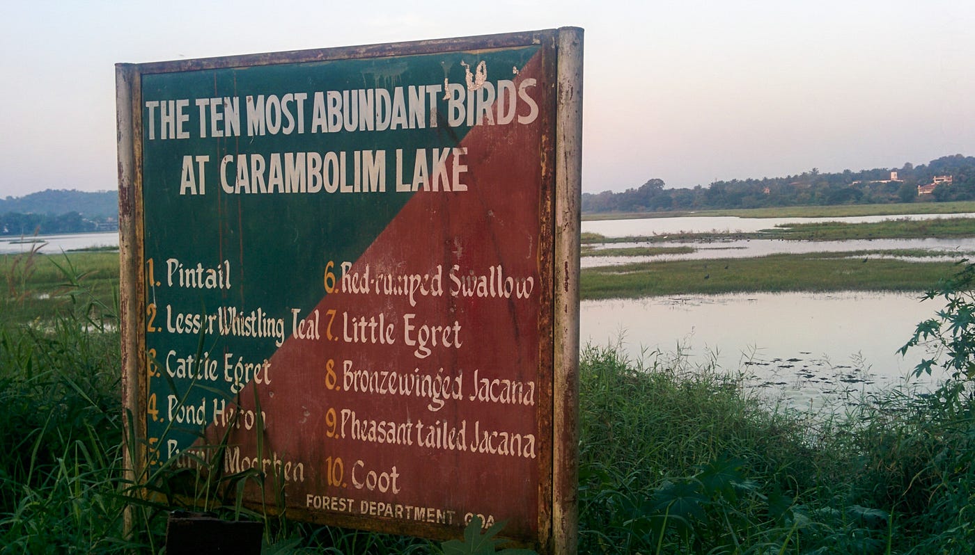 Situated in the village of Carambolim, near Old Goa, Carambolim Lake is ...