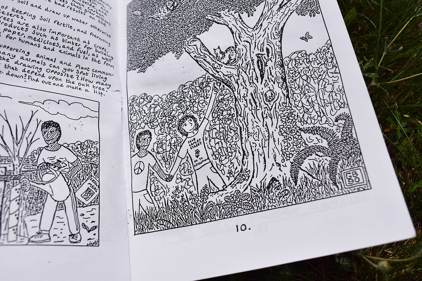 The green zine roundup: A few must-read eco zines | by Meg Crane ...