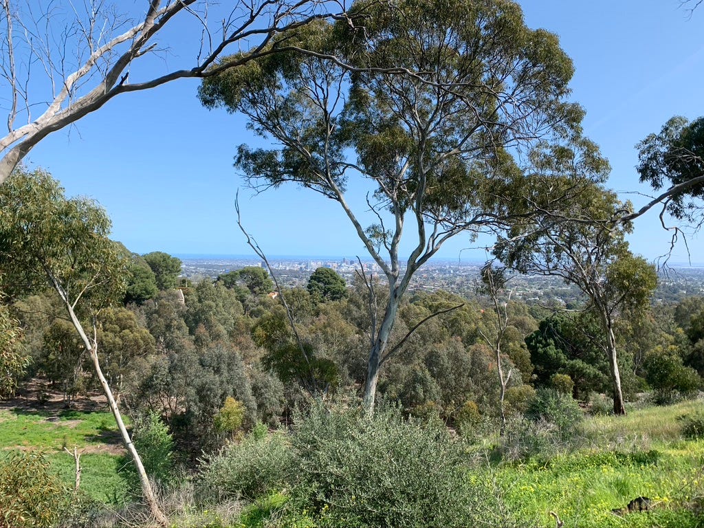 Adelaide's Best Nature Hikes | Medium