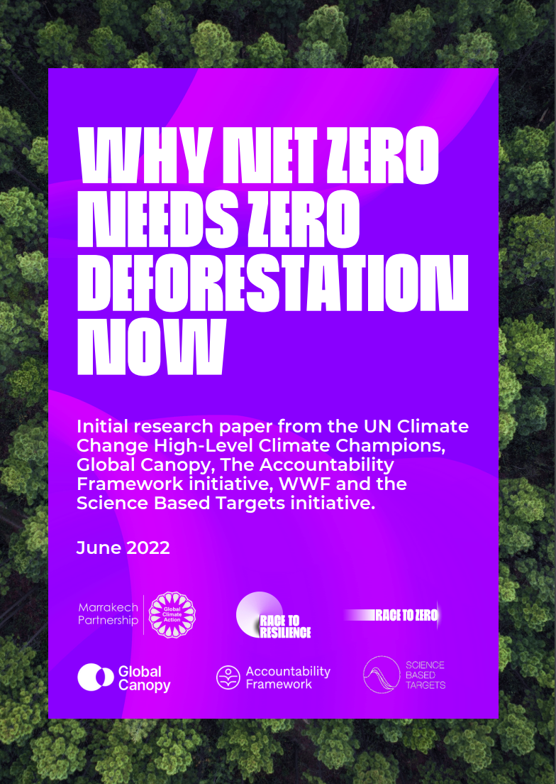 Why Net Zero Needs Zero Deforestation Now | by Earth Forward Group ...