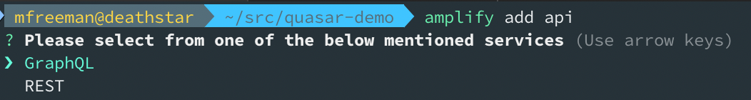 Creating a Quasar Framework application with AWS Amplify services (Part 1/4) | by Michael ...