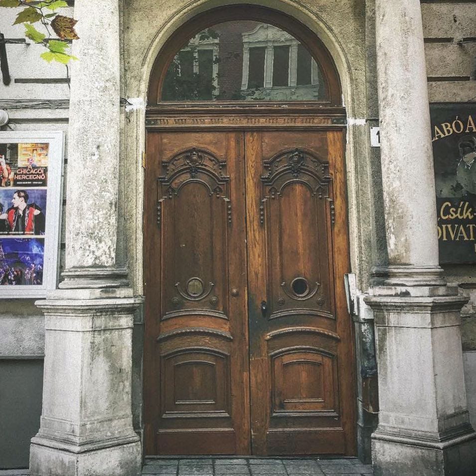 Learning Hungarian with Drops: Milestone 5 | by Shannon Kennedy ...