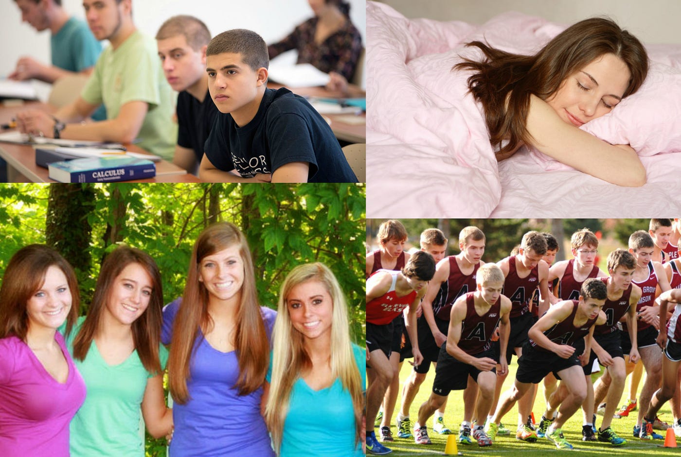The 11 Habits and Traits of Successful Students, How They Out-Perform ...
