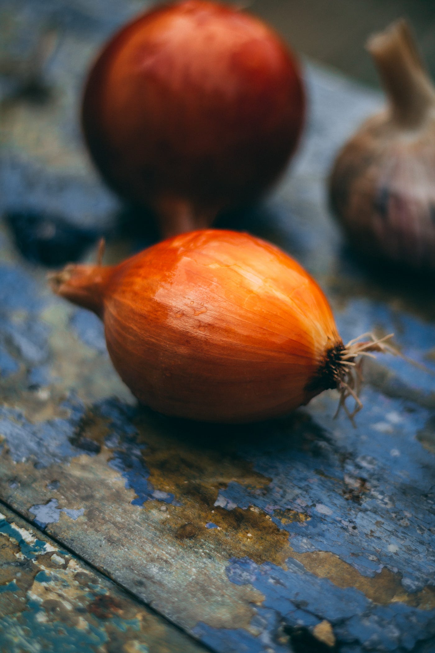 Bodacious Bulbs | How To Cook With The Onion Family | by Aimee Dyamond ...