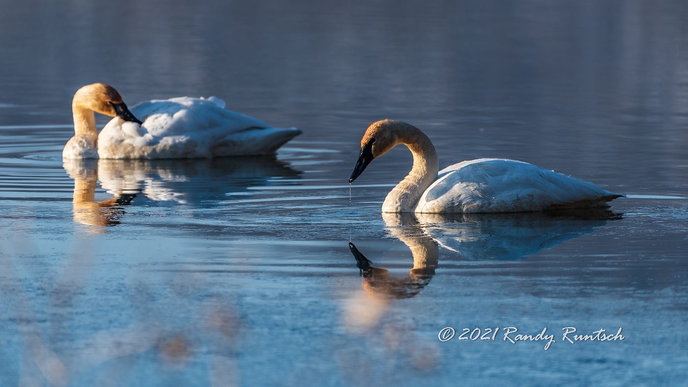 Explore the Wildlife and Scenery of the Whitewater River Valley | by ...