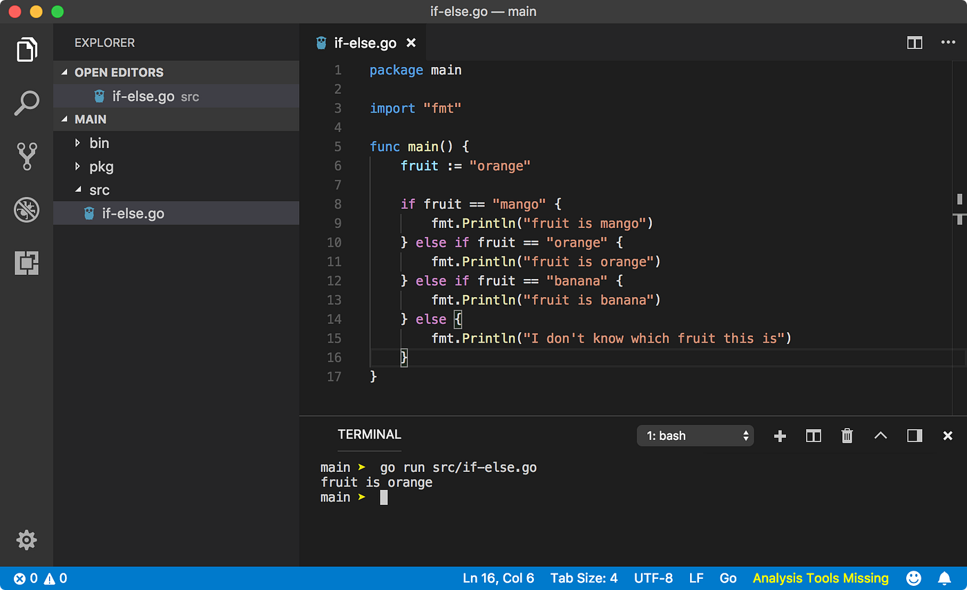 Anatomy of Conditional Statements and Loops in Go | by Uday Hiwarale ...