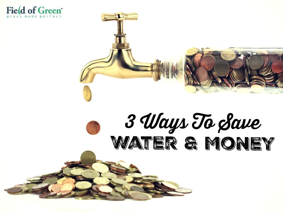 3 Ways to Save Water & Money. With water becoming scarce, everyone is ...