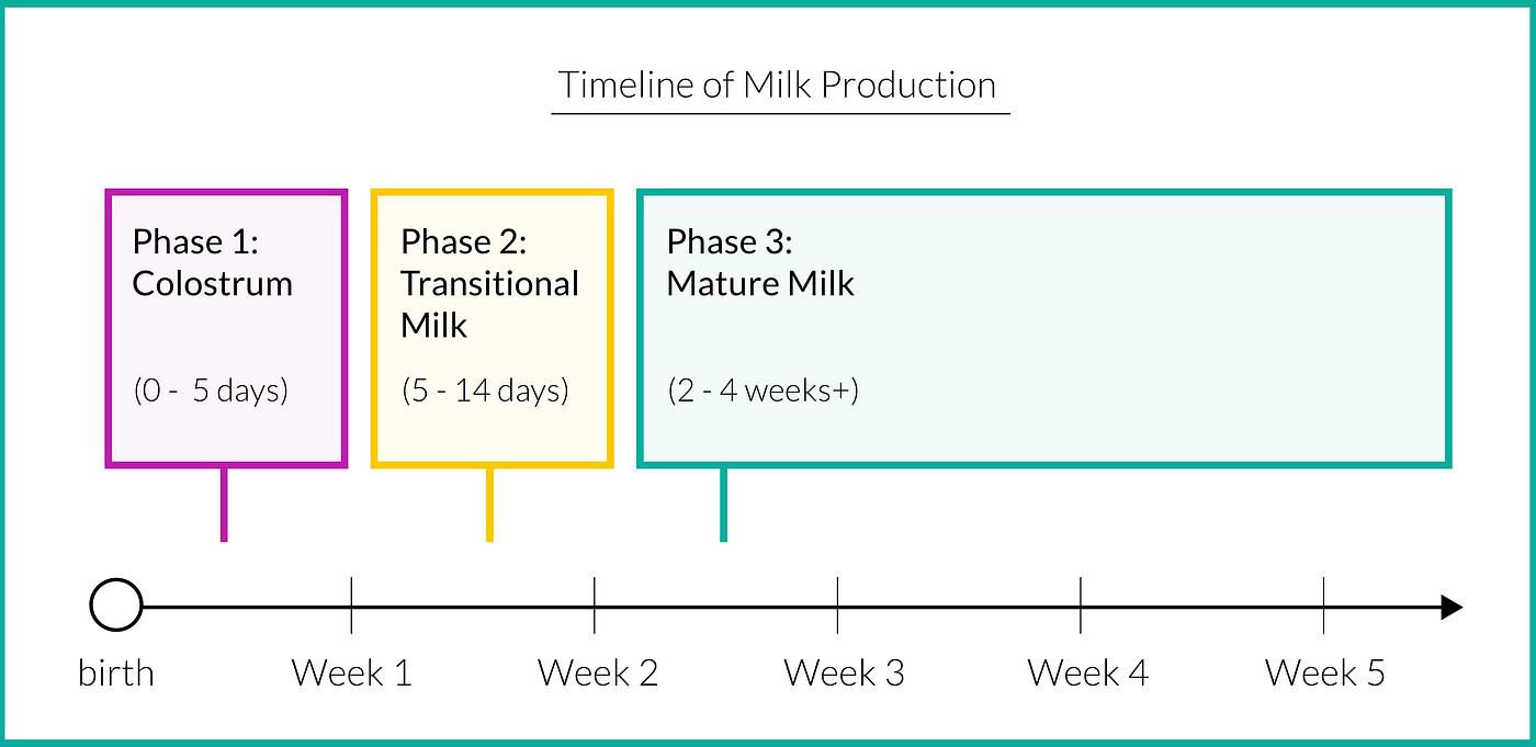 What is Your Breast Milk Made of Anyway? | by Ellie’s List | Ellie’s ...
