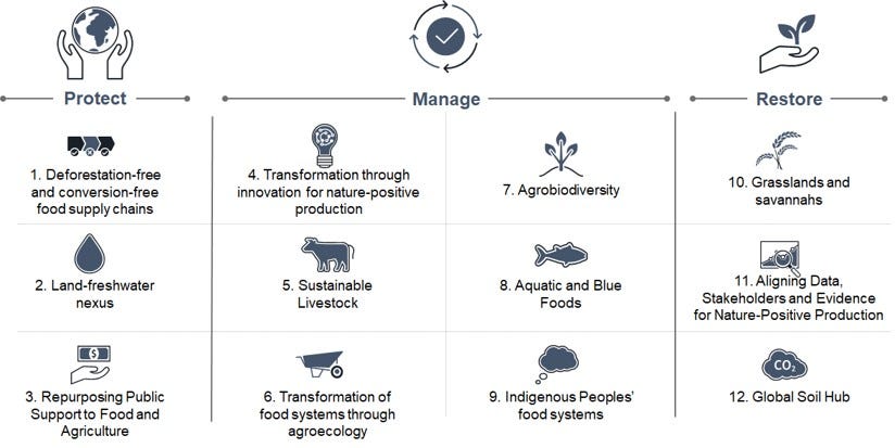 Unleashing the potential of nature-positive food systems | by WWF Food ...