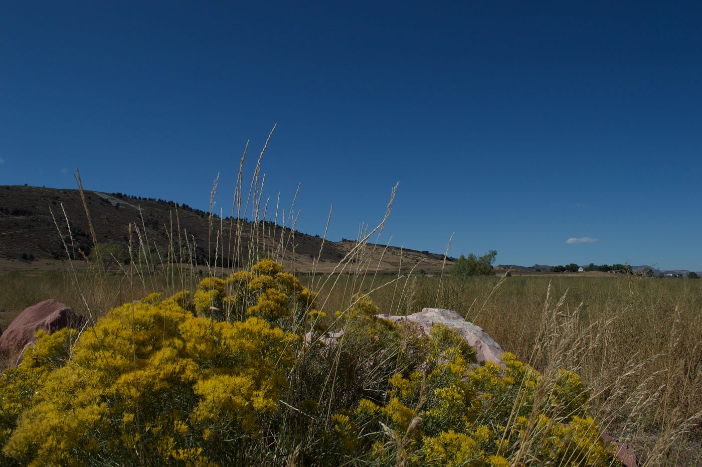 Say Goodbye to the Gateway Beauty of the Fort Collins Foothills: Why I ...
