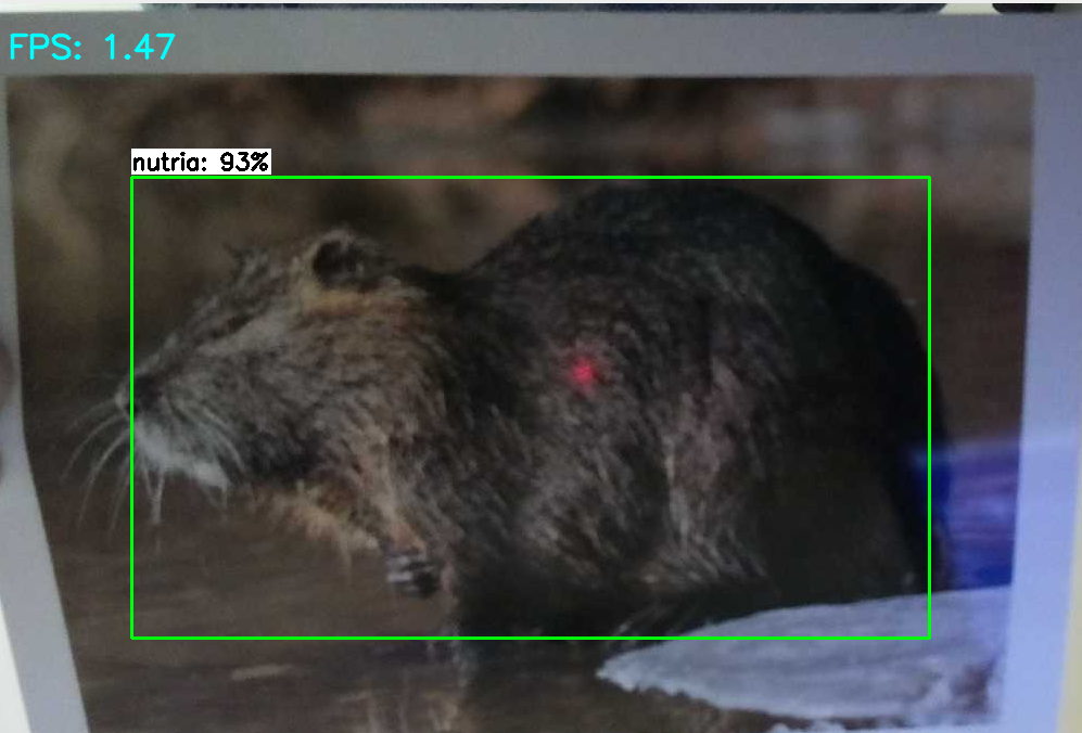 Object detection with TensorFlow on Raspberry Pi | by Elenche Zététique ...
