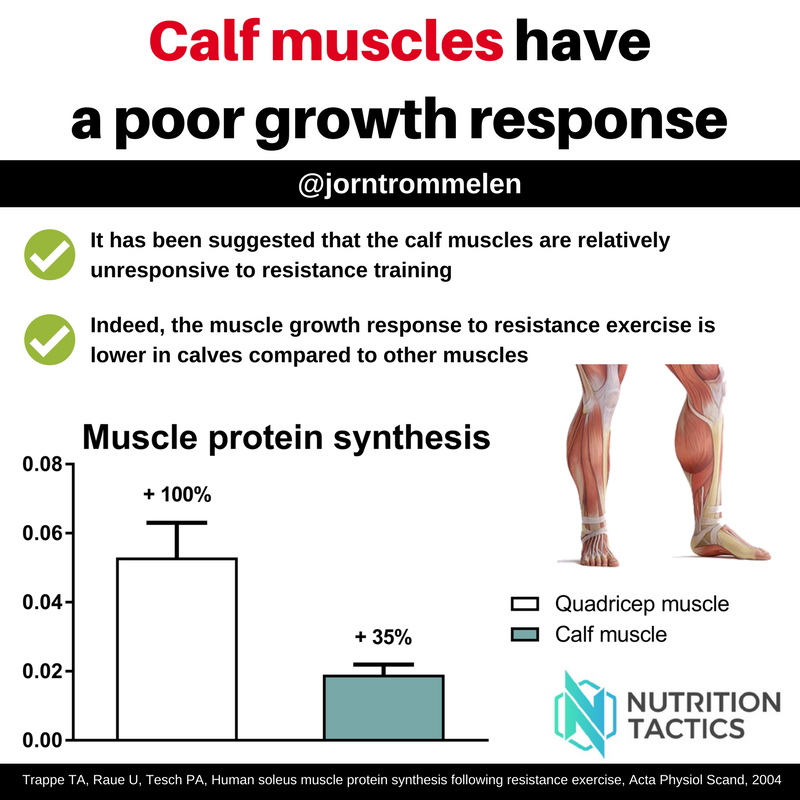 Is the growth response to resistance exercise lower in calves compared ...