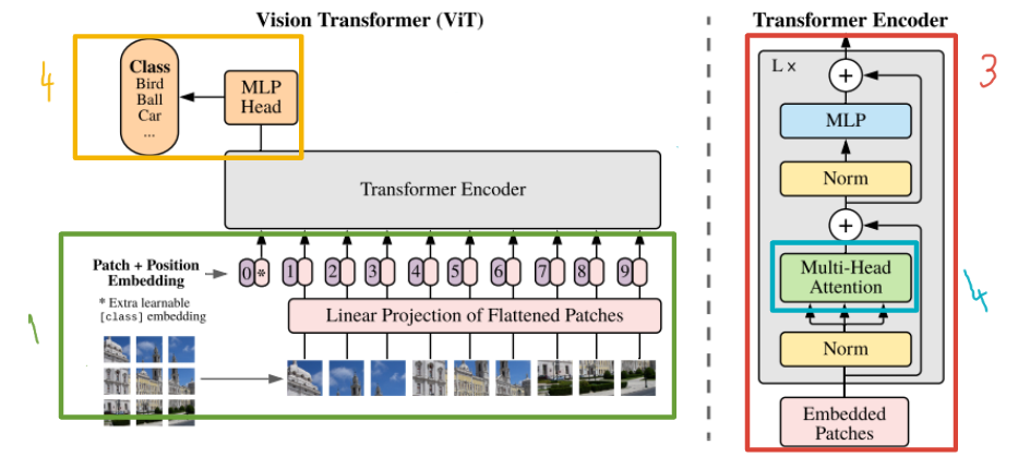 Understanding the Vision Transformer and Counting Its Parameters | by ...