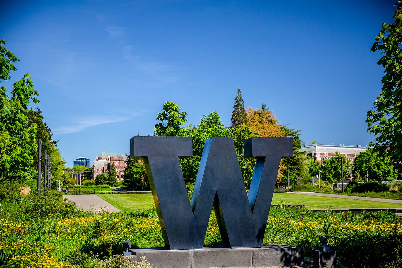 Student Resources at the University of Washington | by Informatics ...