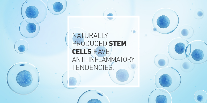 Human Stem Cells Part 3: How They Are Used in Skin Care Products and ...