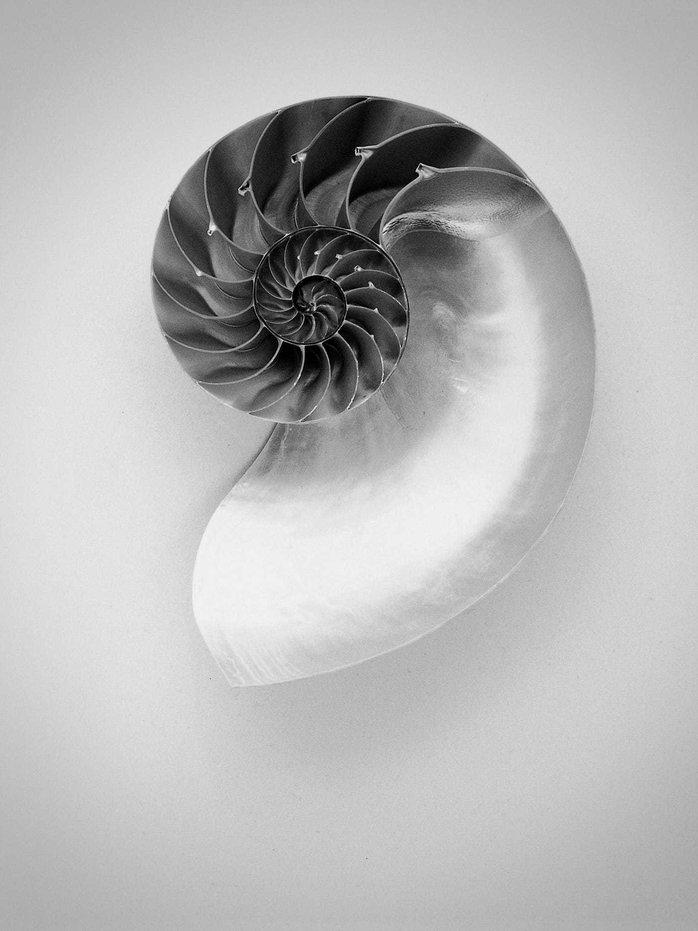 The Complexity That is Seen in Biology Implies a Designer | by Jeremiah ...