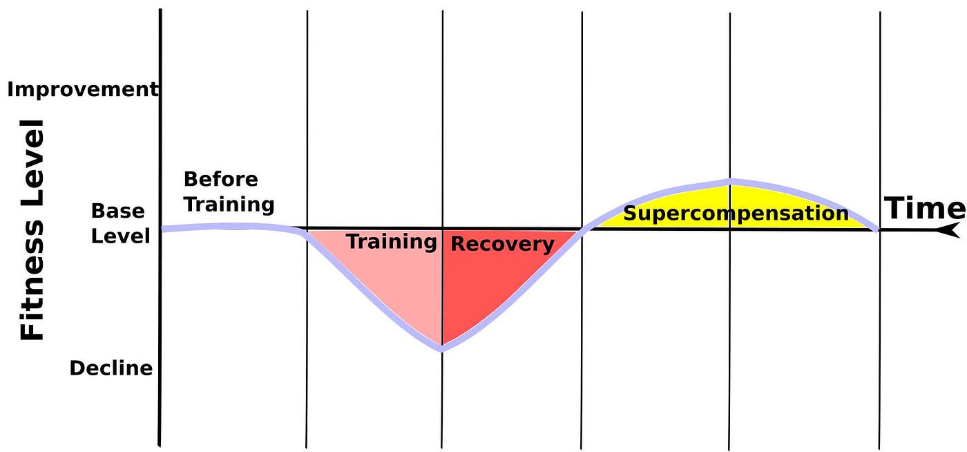 The Supercompensation Principle in Blogging | by Vico Biscotti | inside ...
