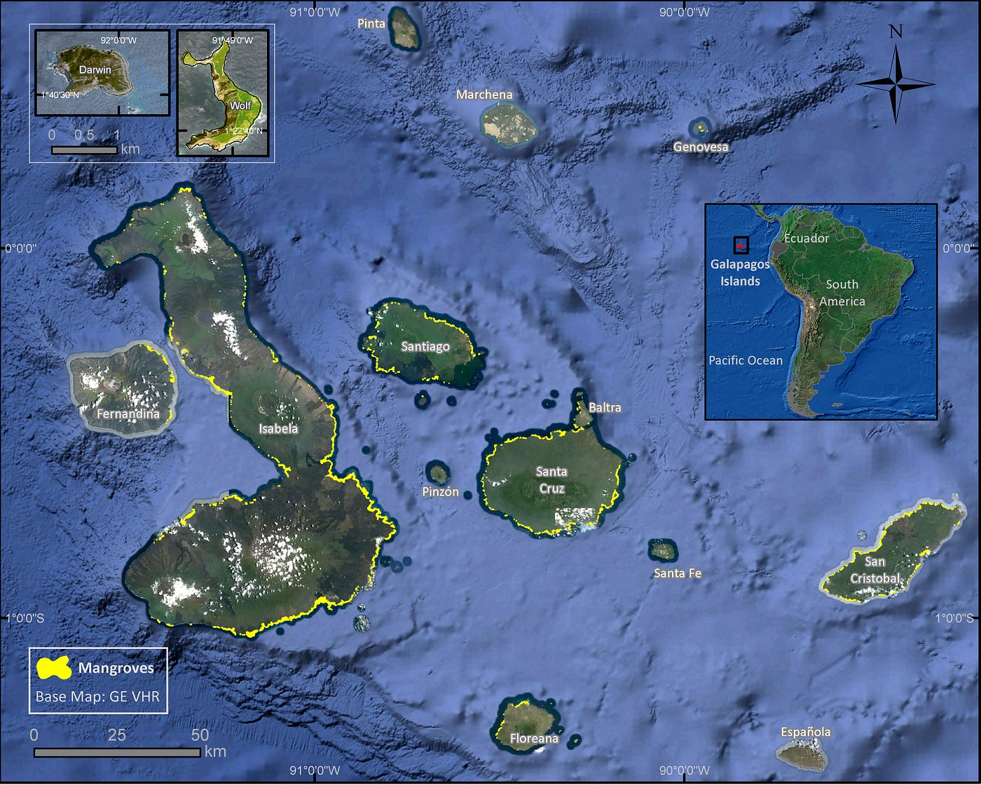 Documenting mangrove forests in the Galápagos Islands, with help from ...