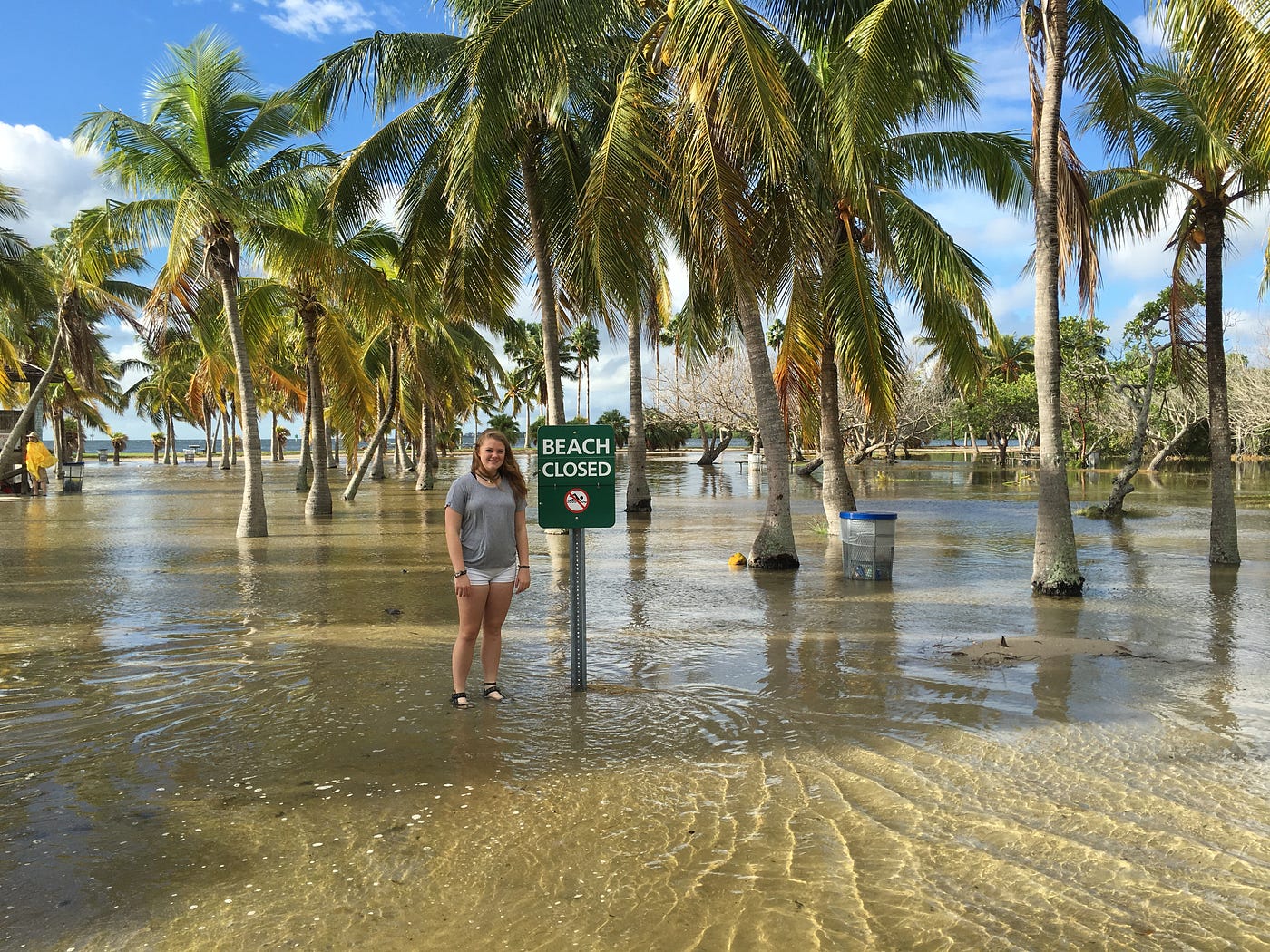 Saving Miami. Delaney Reynolds, Sink or Swim Project | by The Years ...