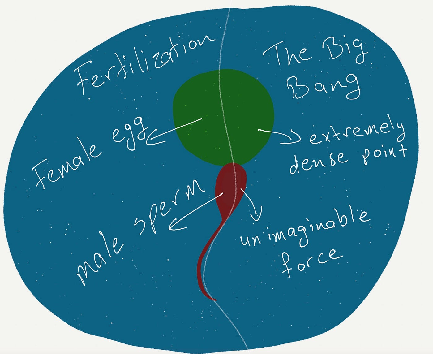 ITS A LIFE FORM, OUR UNIVERSE IS A LIFE FORM | by Sami Awwad | Medium