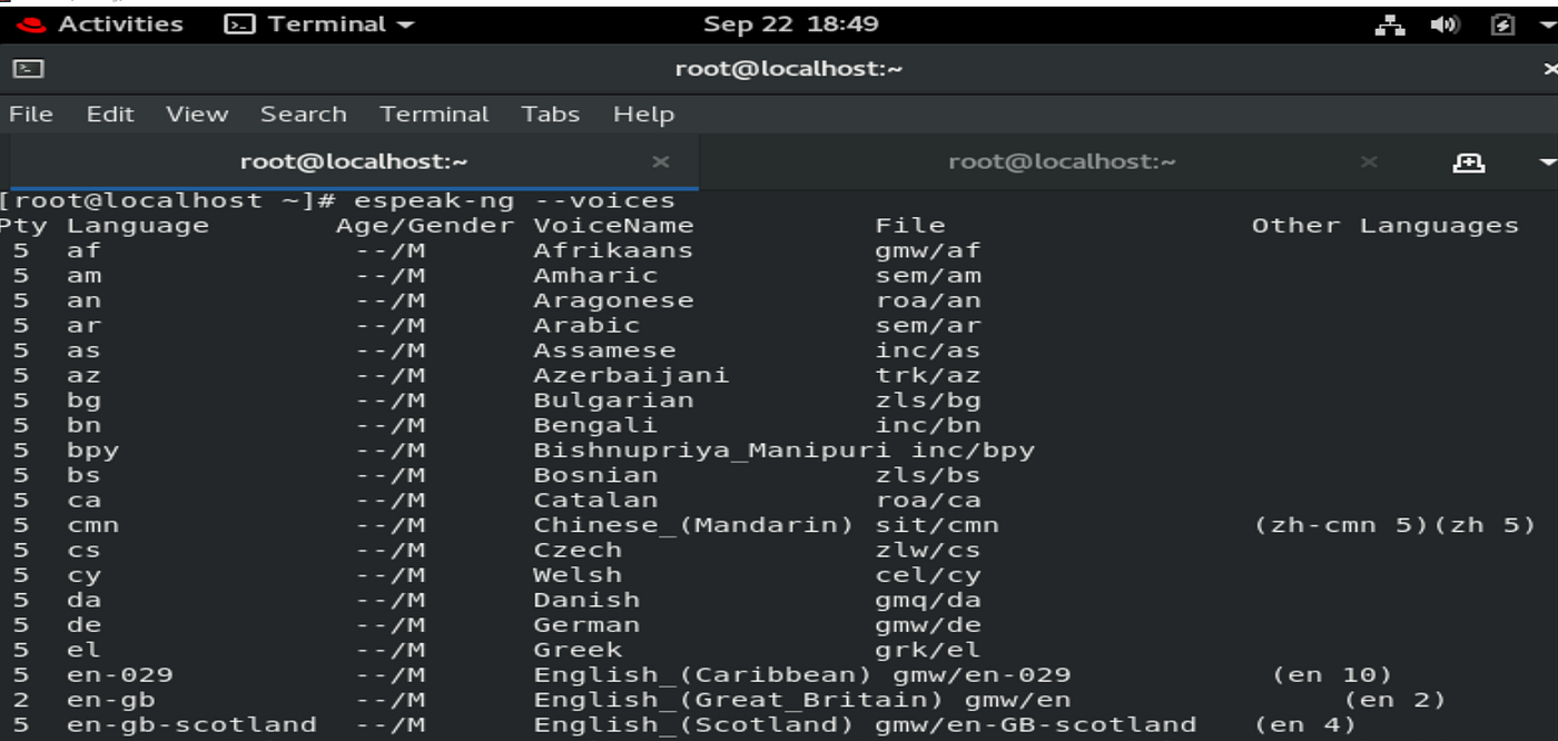espeak-ng command in Linux. What is espeak-ng? | by Riddhi Jani | Medium