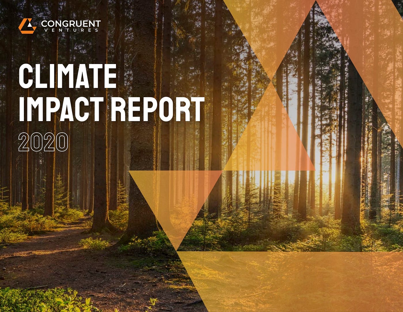 Congruent’s Inaugural Climate Impact Report for 2020 | by Congruent Ventures | Medium