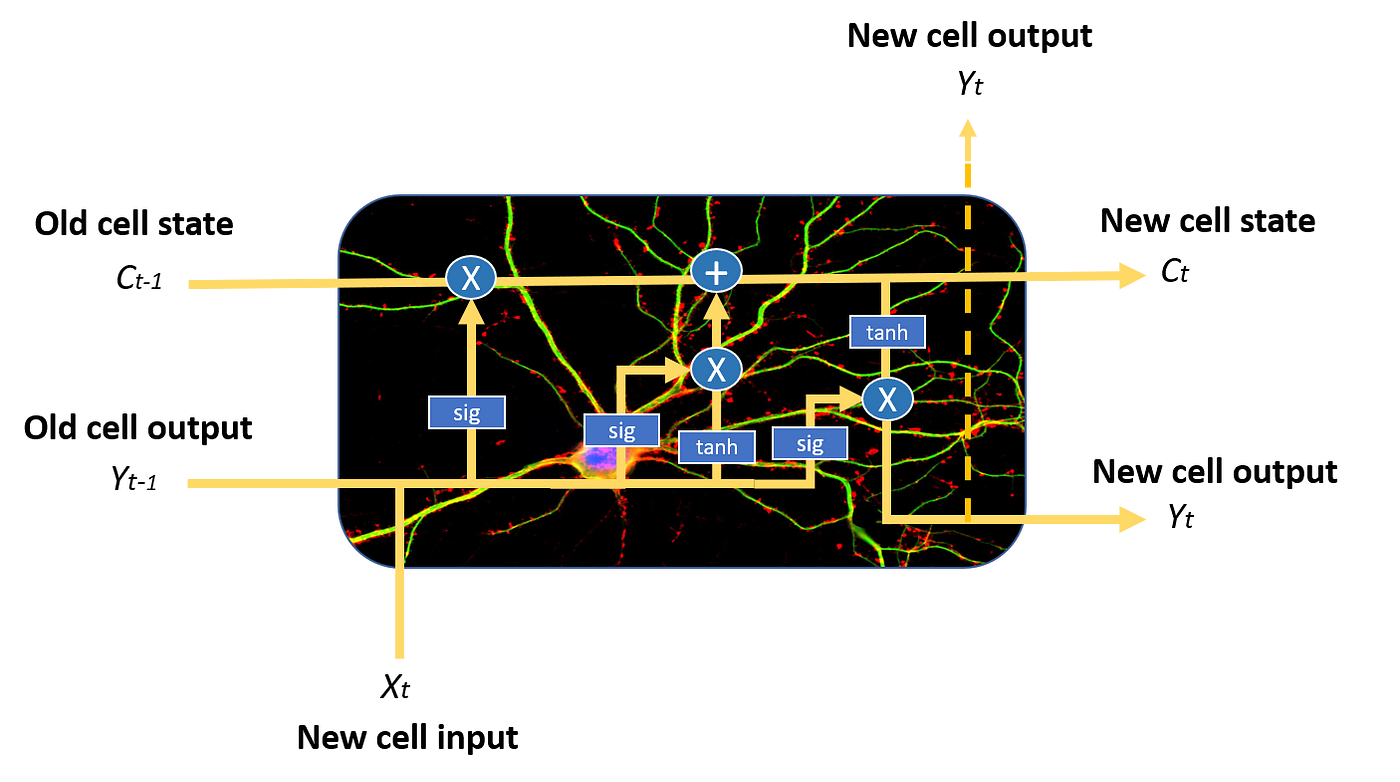 Deep Learning For Nlp Anns Rnns And Lstms Explained By James Thorn Towards Data Science