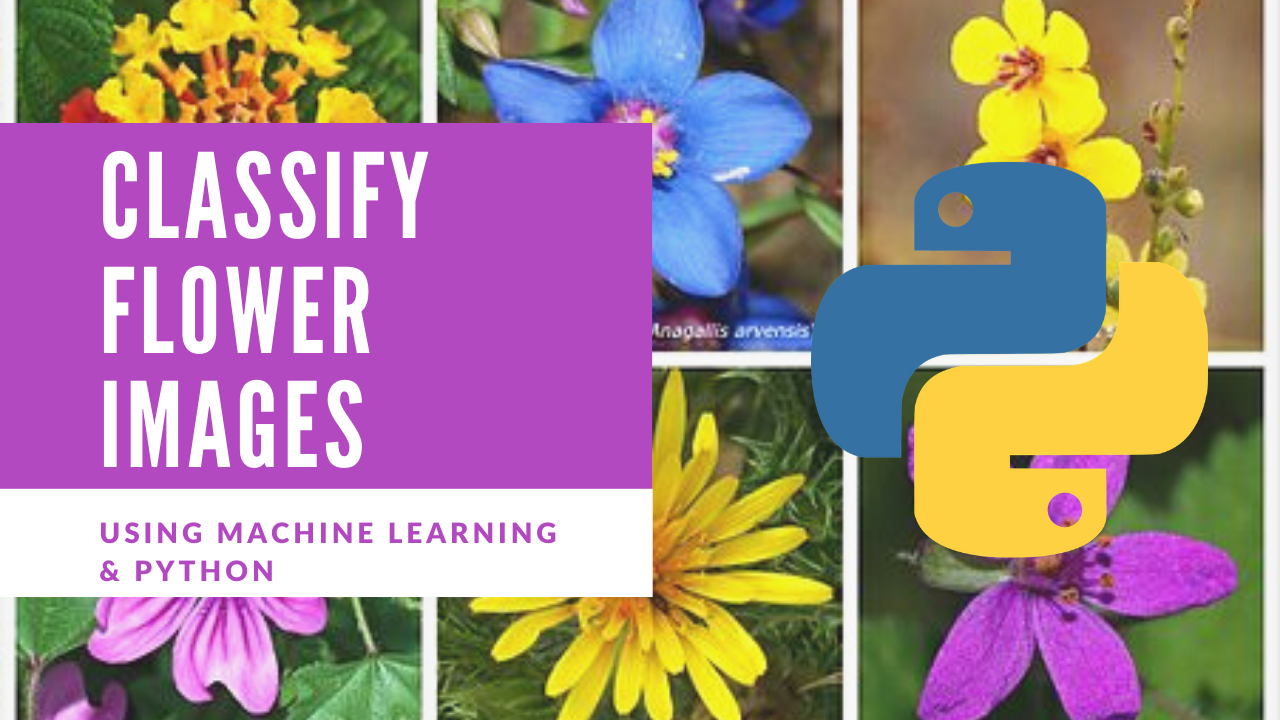 Classify Flower Images Using Machine Learning And Python By Randerson112358 Medium