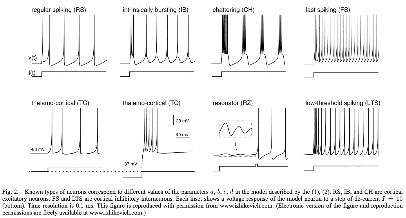 The Izhikevich Neuron Model. Paper Summary: “Simple Model of Spiking ...